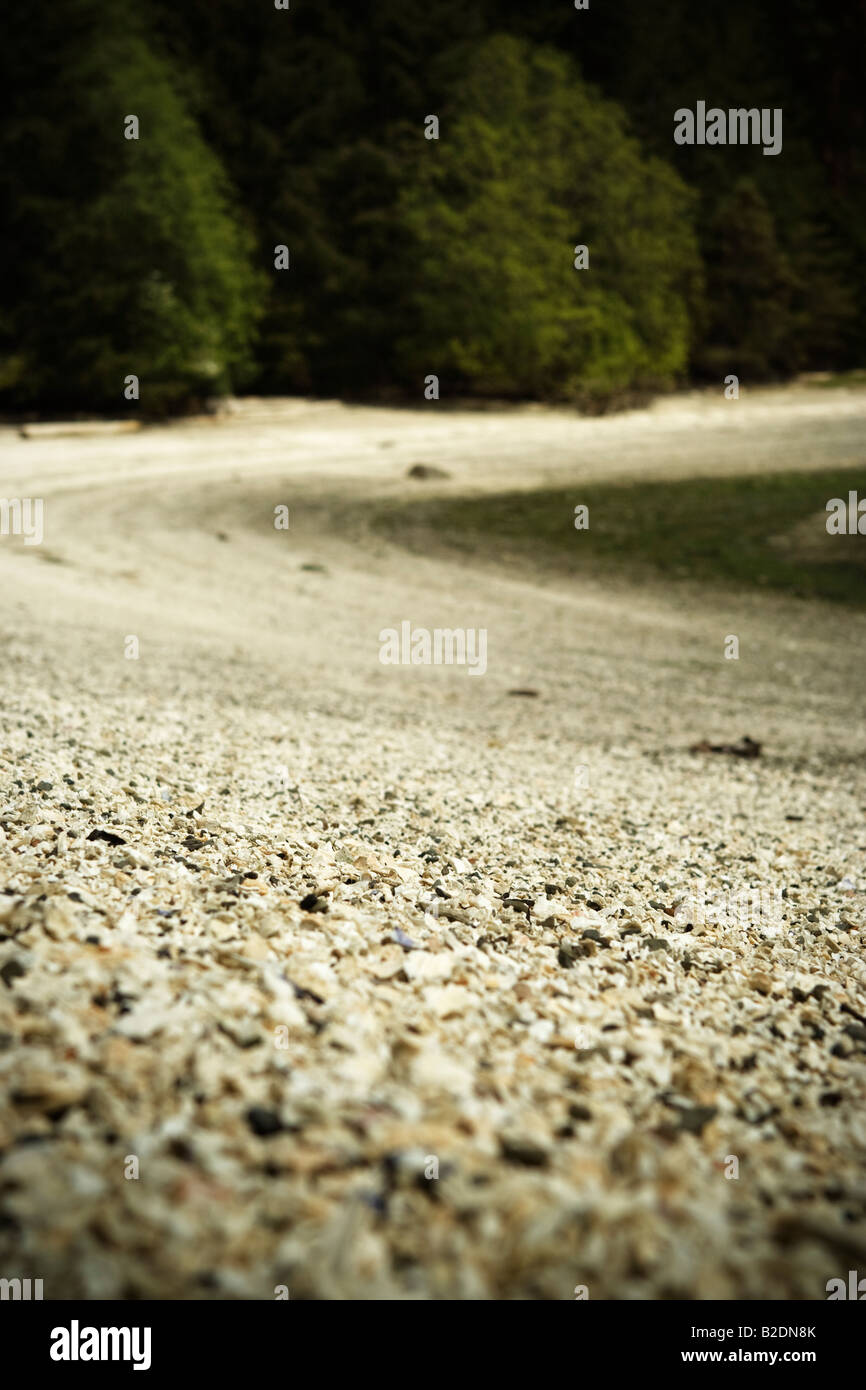 white shell beach in Montague Harbour Provincial Park Galiono Island ...