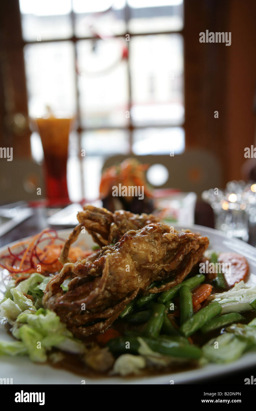 Close-up of Asian fusion dish Stock Photo - Alamy