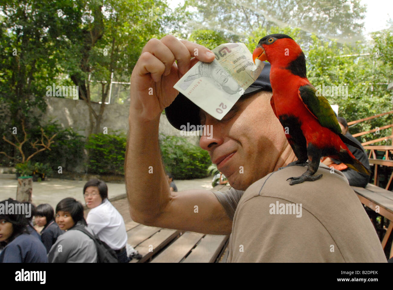 parrot taking money , dusit zoo , bangkok , thailand Stock Photo - Alamy