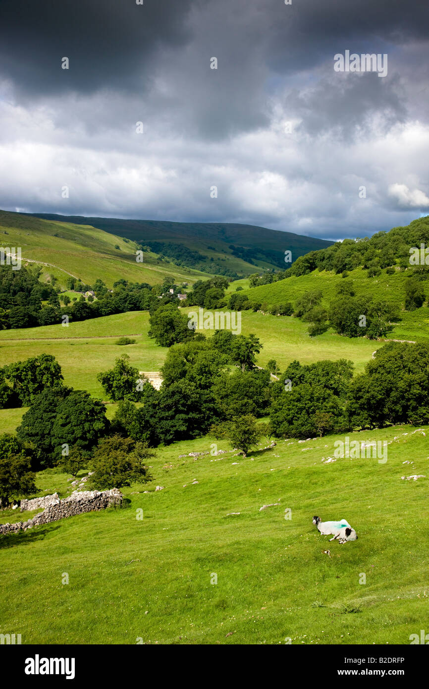 Looking up Wharfedale towards Hubberholme Yorkshire Dales National Park ...