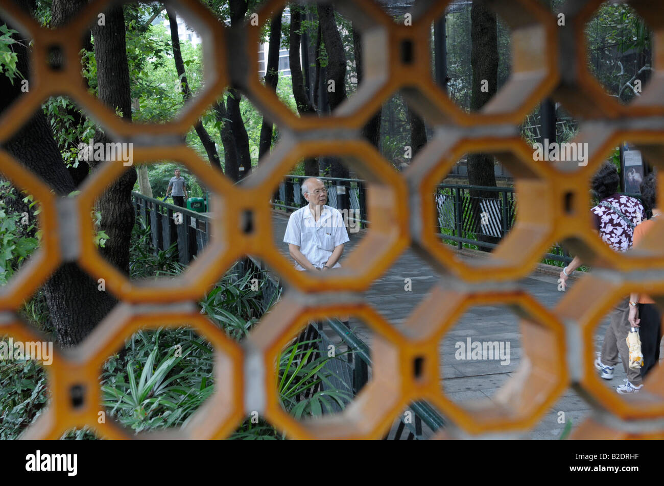man relaxing in the tranquility of the tai chi Garden in Hong Kong Park ...
