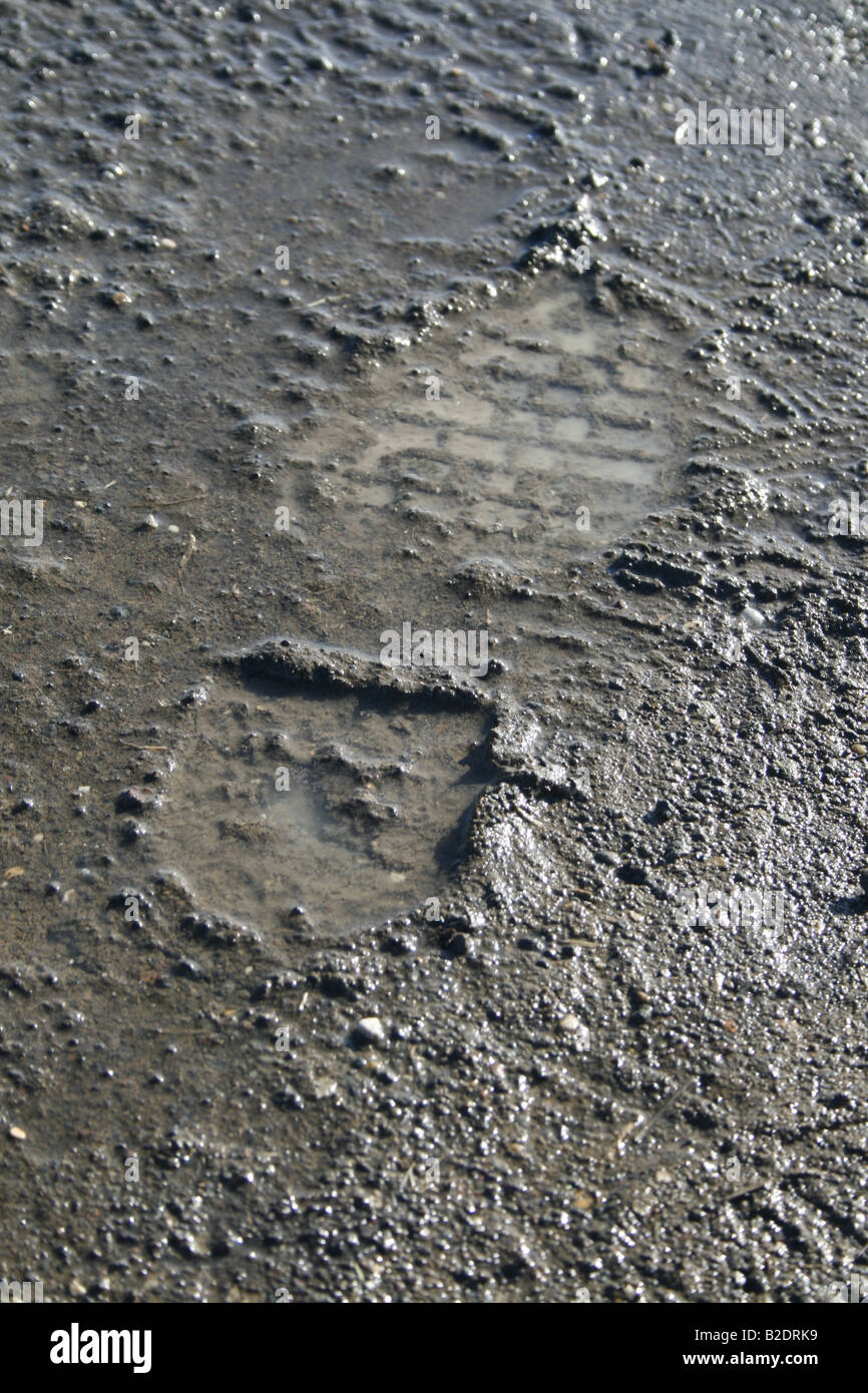 one shoe heel footprint in mud in field Stock Photo - Alamy