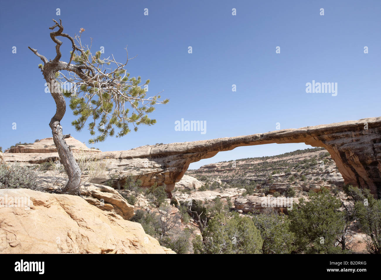 Owachomo Natural Bridge in Utah USA Stock Photo - Alamy