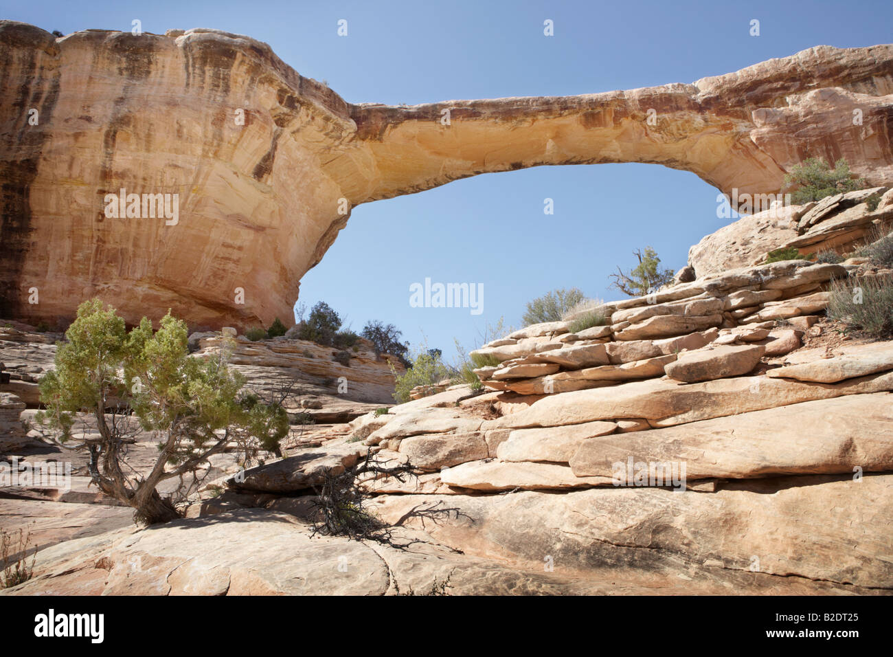 Owachomo Natural Bridge in Utah USA Stock Photo - Alamy