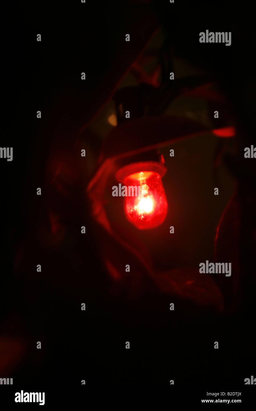 Unu symbol hi-res stock photography and images - Alamy