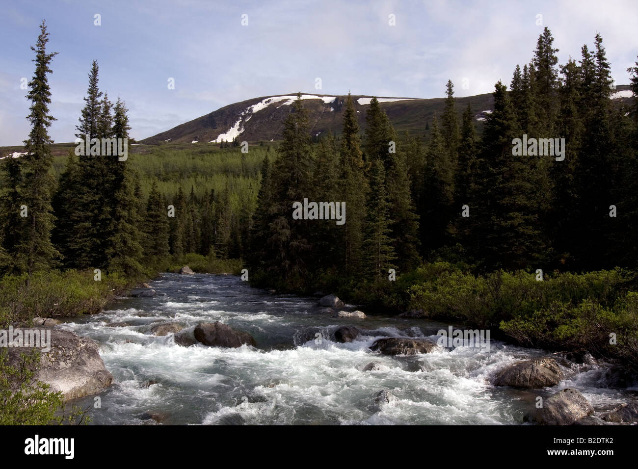 White water river running wild through Alaskan wilderness Stock Photo ...