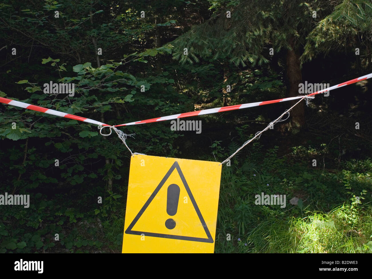danger sign in the forest logging area Stock Photo - Alamy