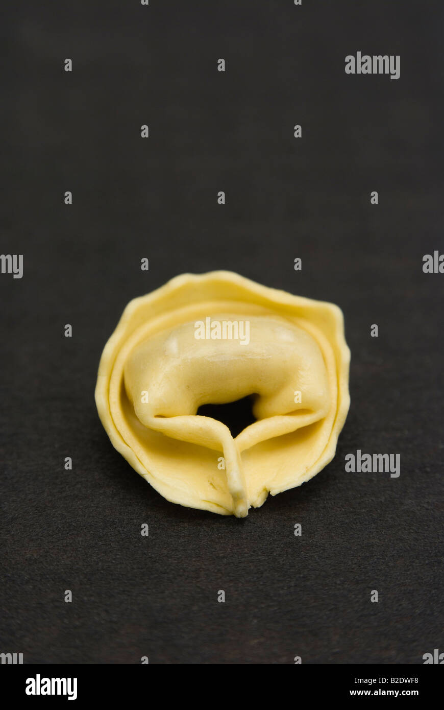 Tortellino studio pasta cooking ingredient shape shaped hi-res stock ...