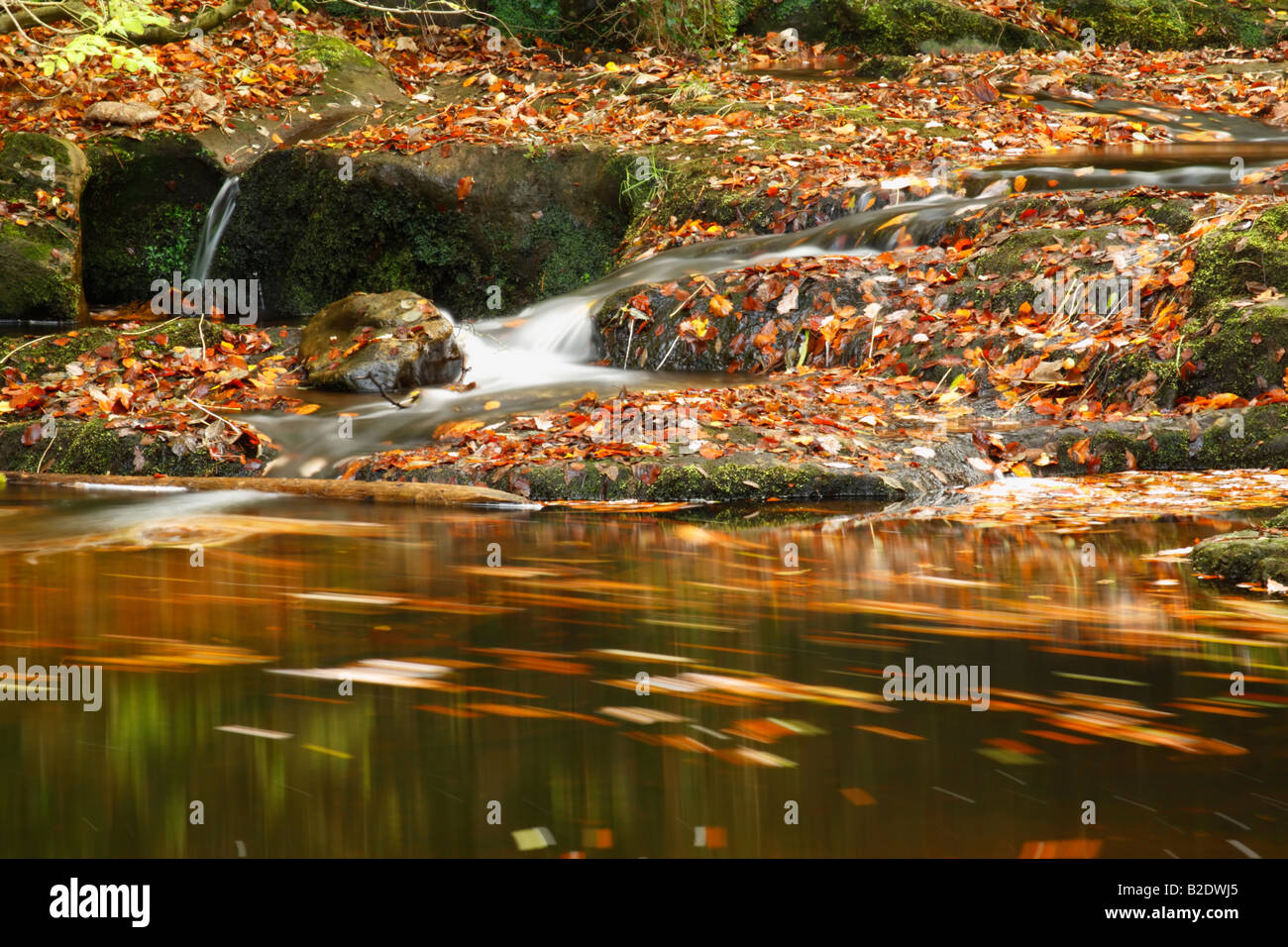 May beck hi-res stock photography and images - Alamy