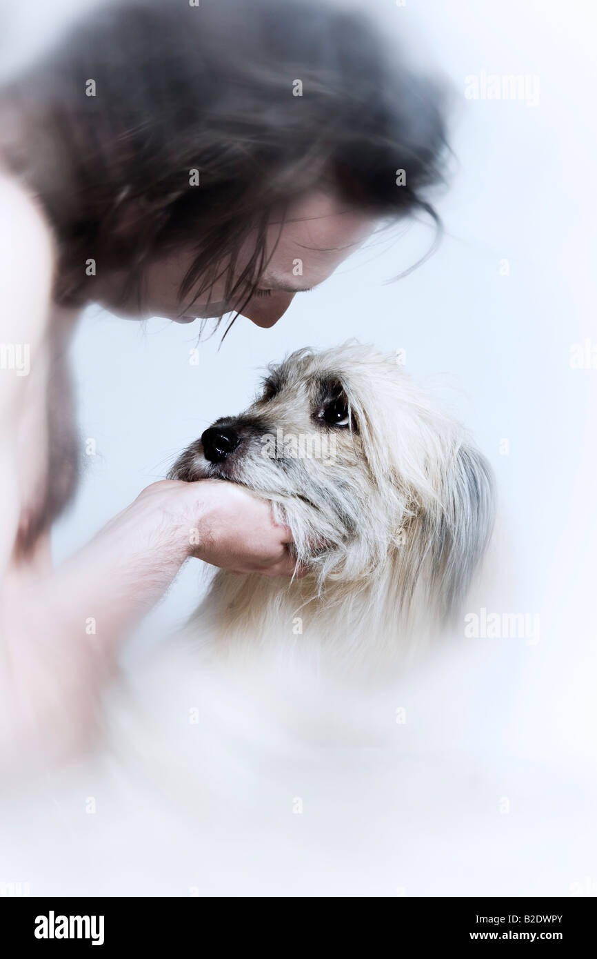 studio portrait isolated of young man and his labrit dog Stock Photo ...
