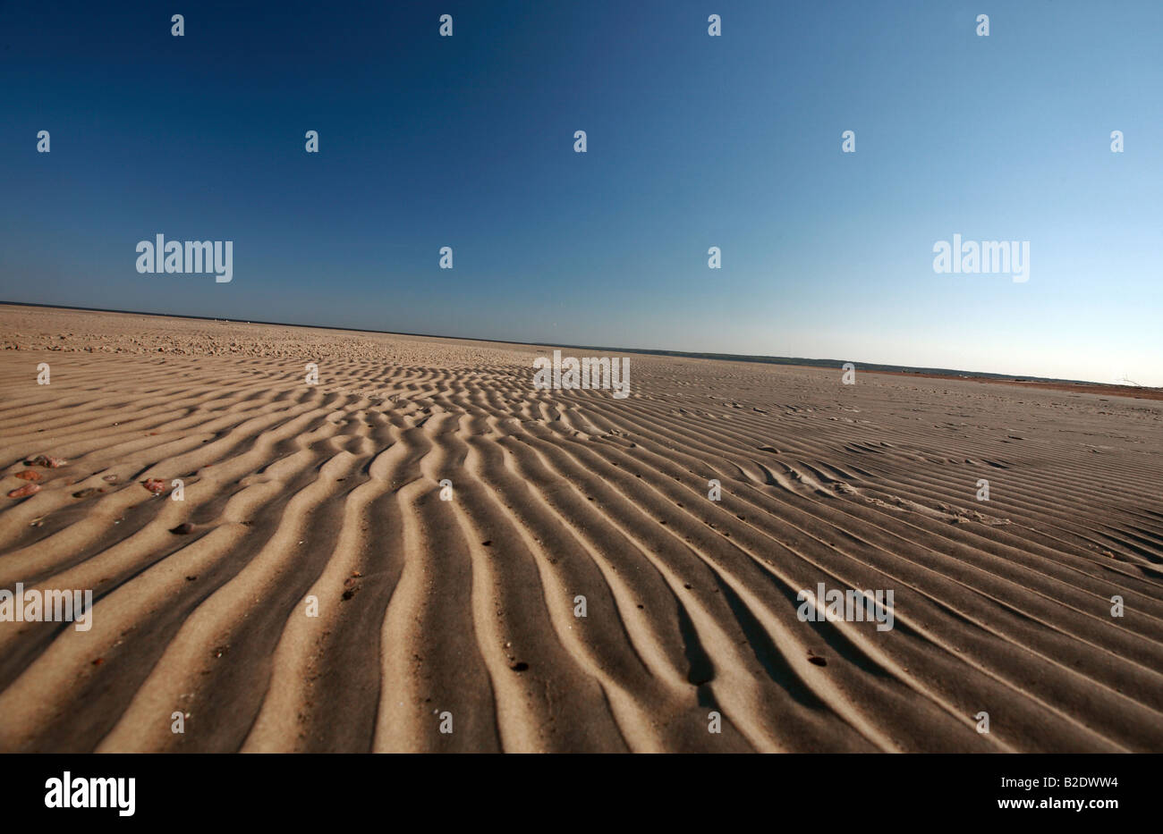Sand flats along shore of Lake Winnipeg Stock Photo - Alamy