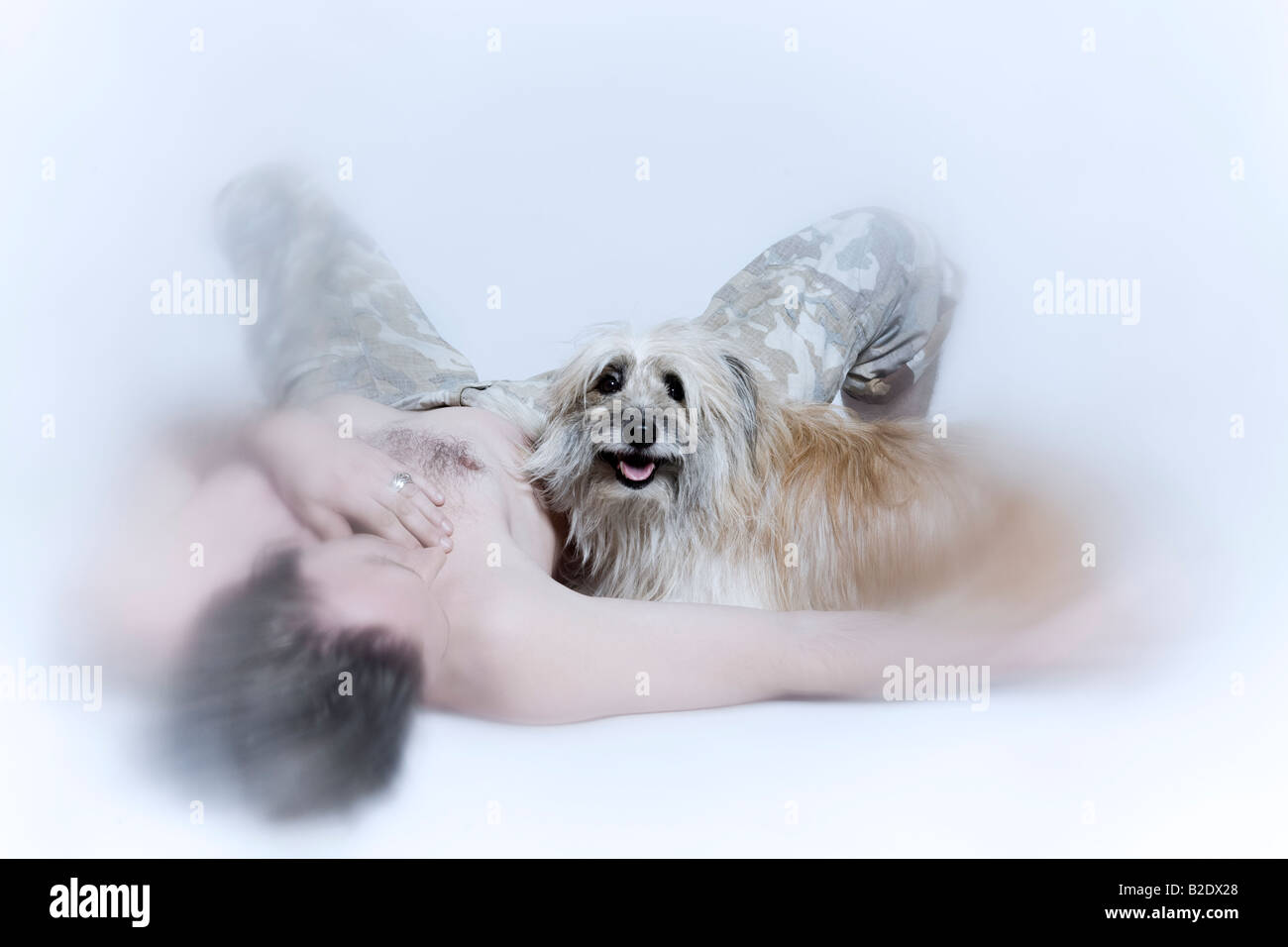 studio portrait isolated of young man and his labrit dog Stock Photo ...