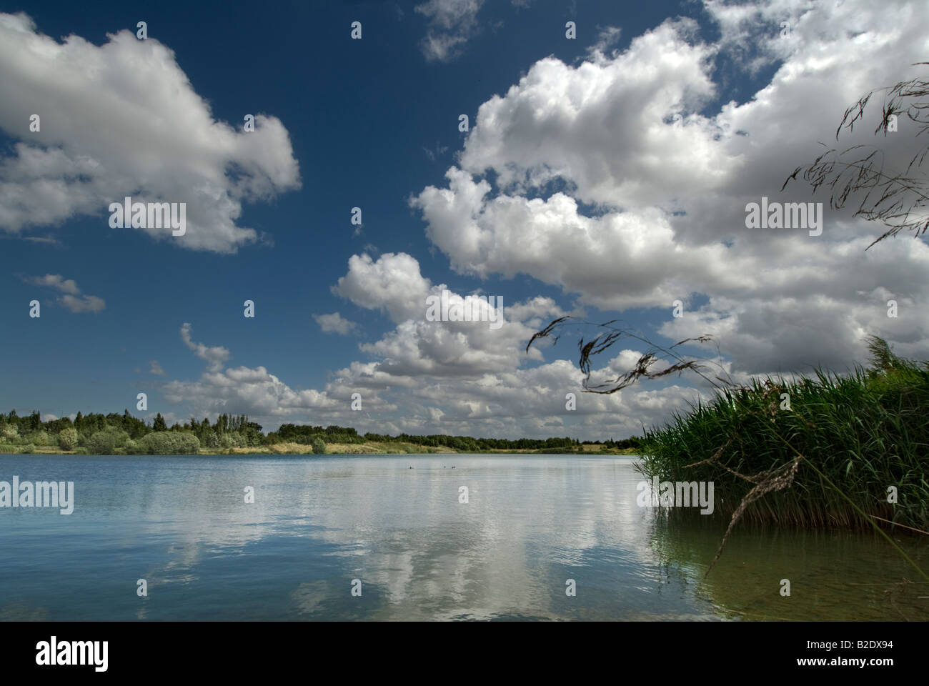 Saxon Lake Harmondsworth Moor Biodiversity Project Heathrow Stock Photo ...