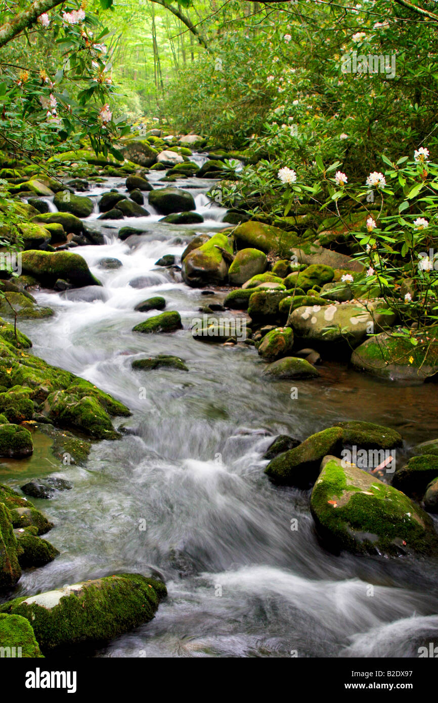 Oconaluftee River in the Great Smoky Mountains National Park Stock Photo - Alamy