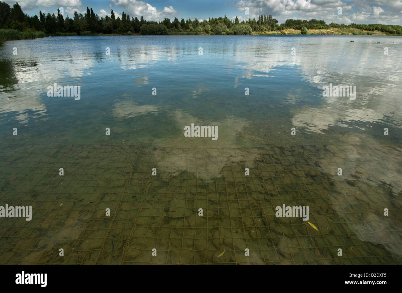 Saxon Lake Harmondsworth Moor Biodiversity Project Heathrow Stock Photo ...