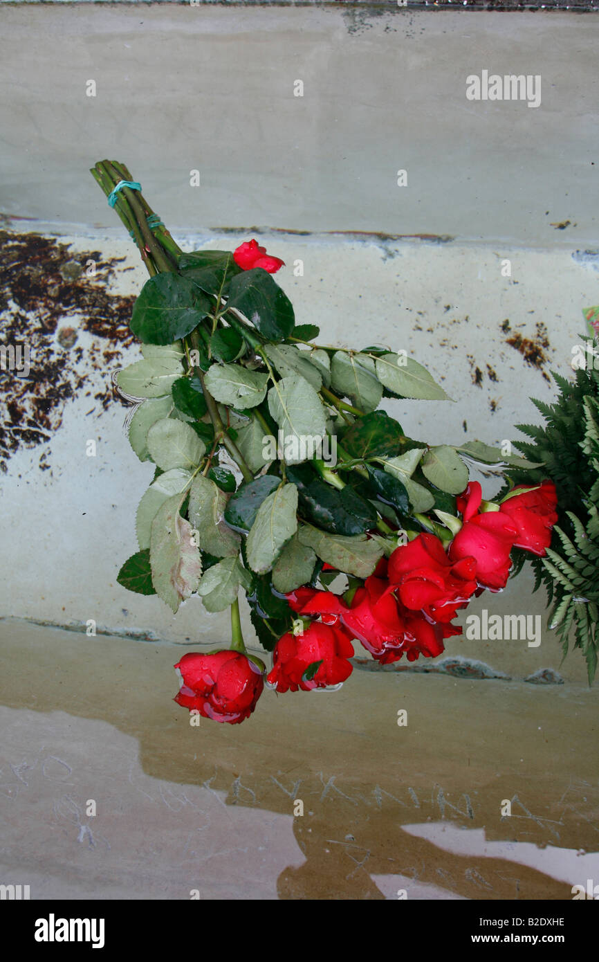 bunch of red roses floating in fountain water Stock Photo - Alamy