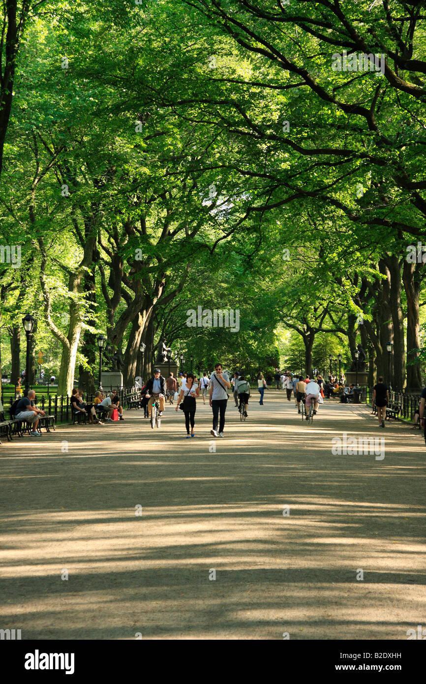 Central park walking path hi-res stock photography and images - Alamy