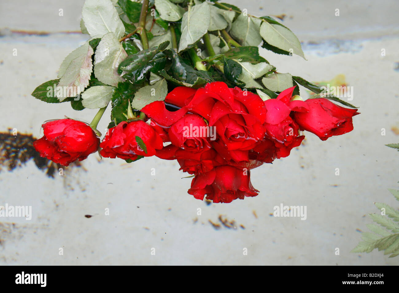 Fountain of eternal love hi-res stock photography and images - Alamy