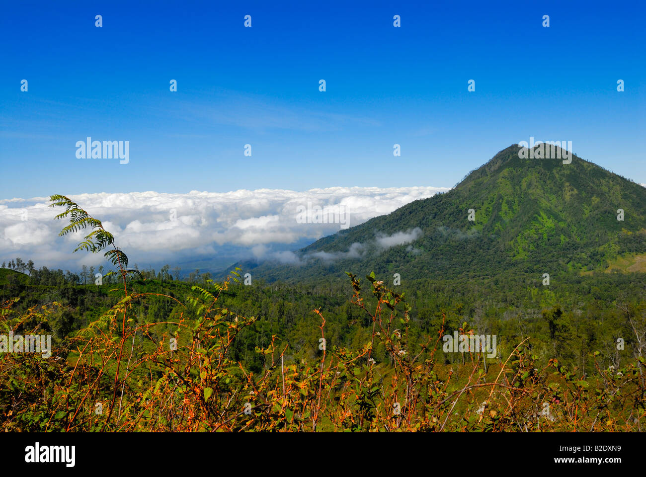mountain view from vulcano Ijen on to more Vulcanos and clouds down in ...