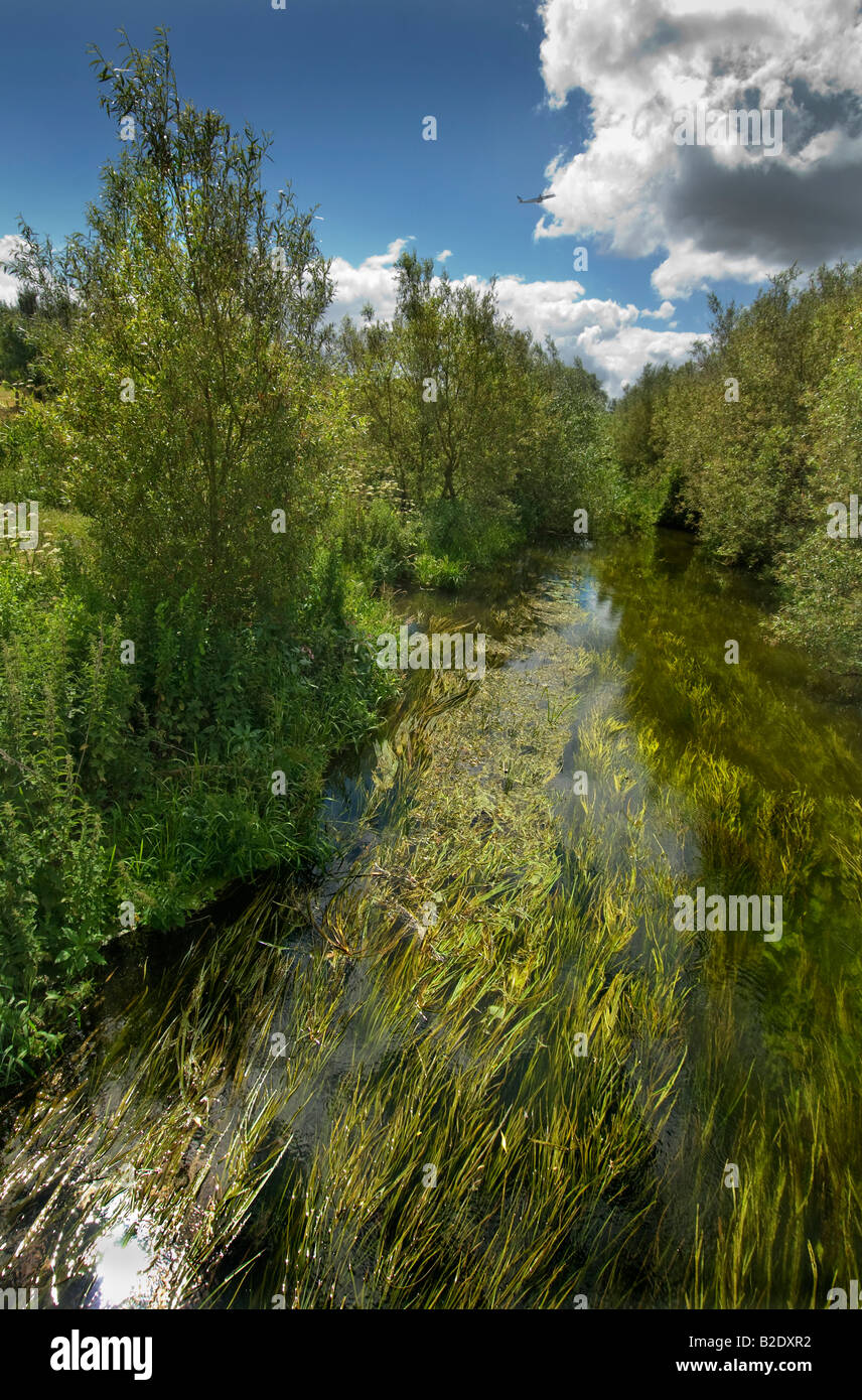 River Colne Harmondsworth Moor Biodiversity Project Heathrow Stock ...