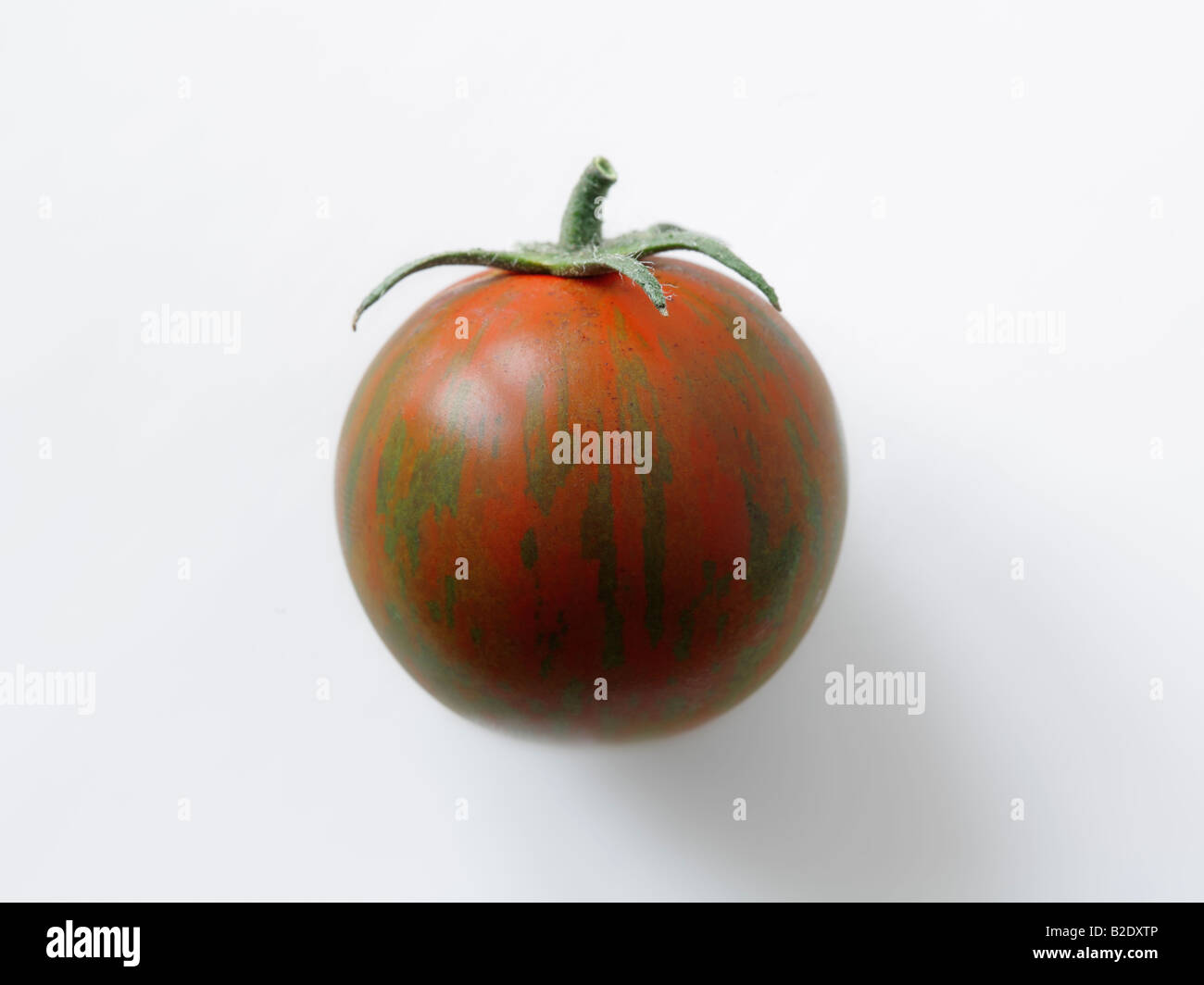Tomato with red and green stripes - known as Red Zebra or Safari Tomato ...