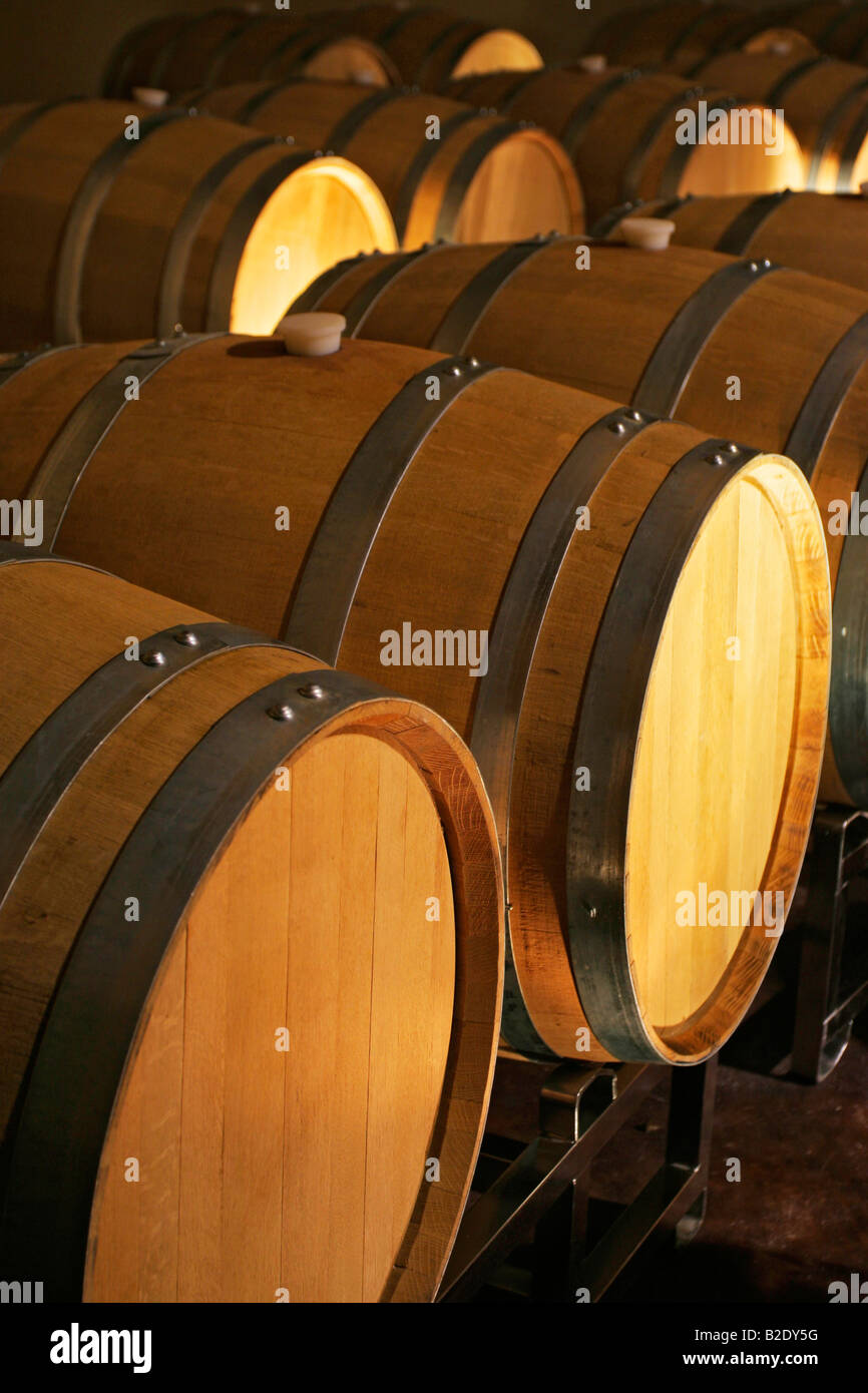 Warm light on wine casks Stock Photo - Alamy