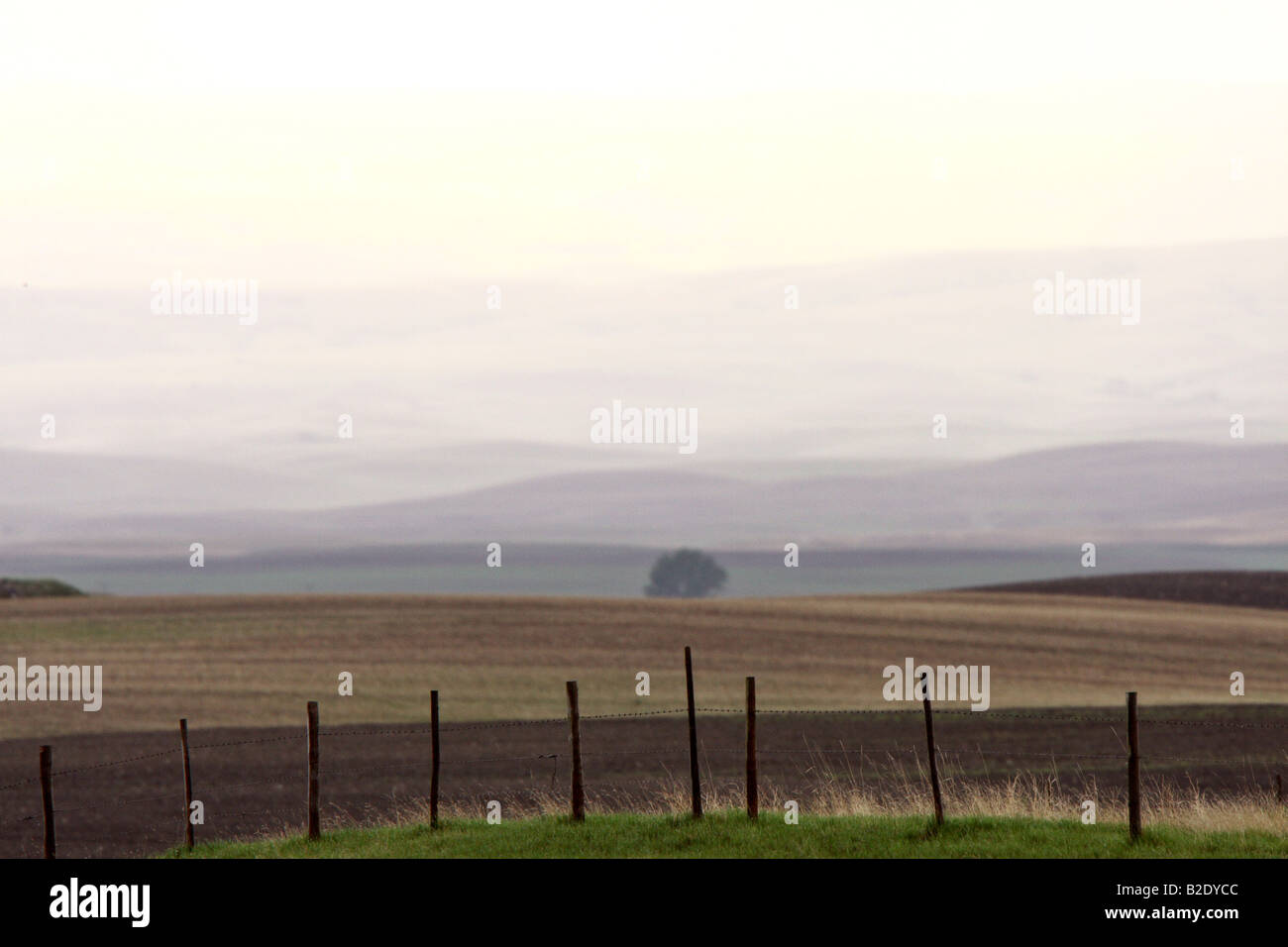 Fence line on scenic Saskatchewan prairies Stock Photo - Alamy