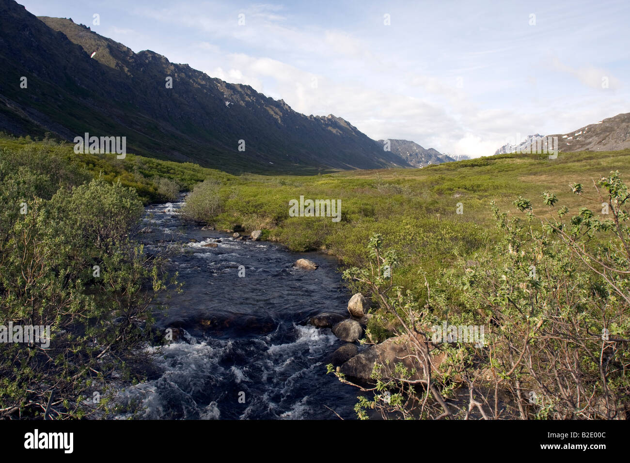 Green alaska hi-res stock photography and images - Alamy