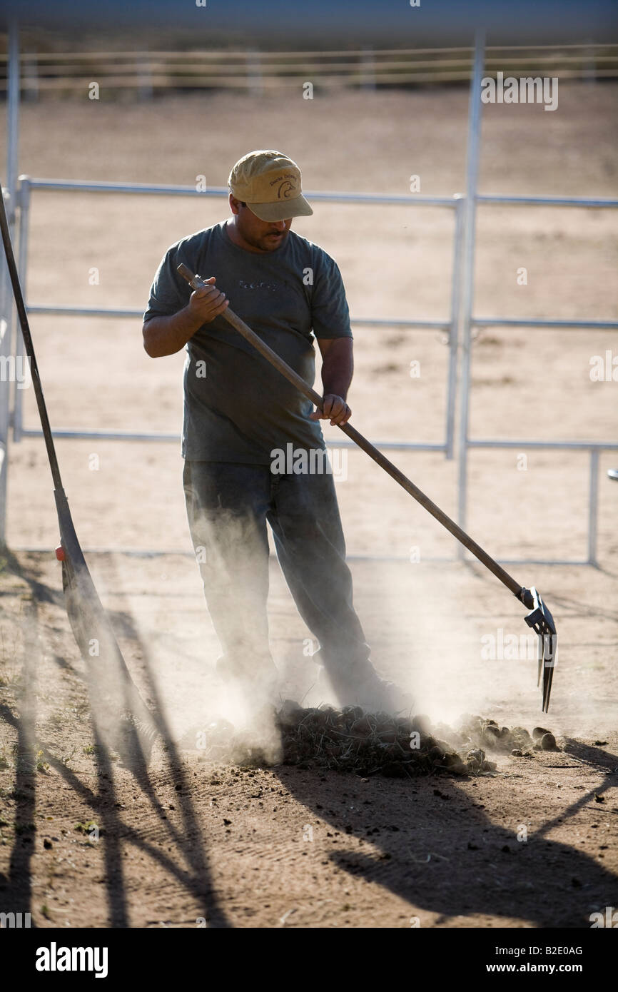 Muck rake hi-res stock photography and images - Alamy