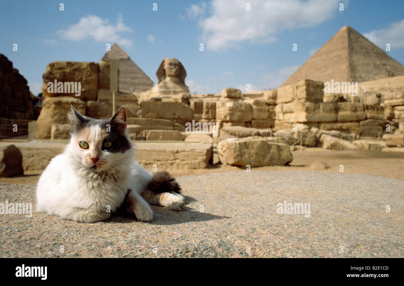 Egyptian Cat Pyramid