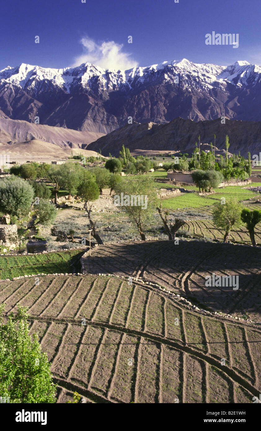 Lekir hi-res stock photography and images - Alamy