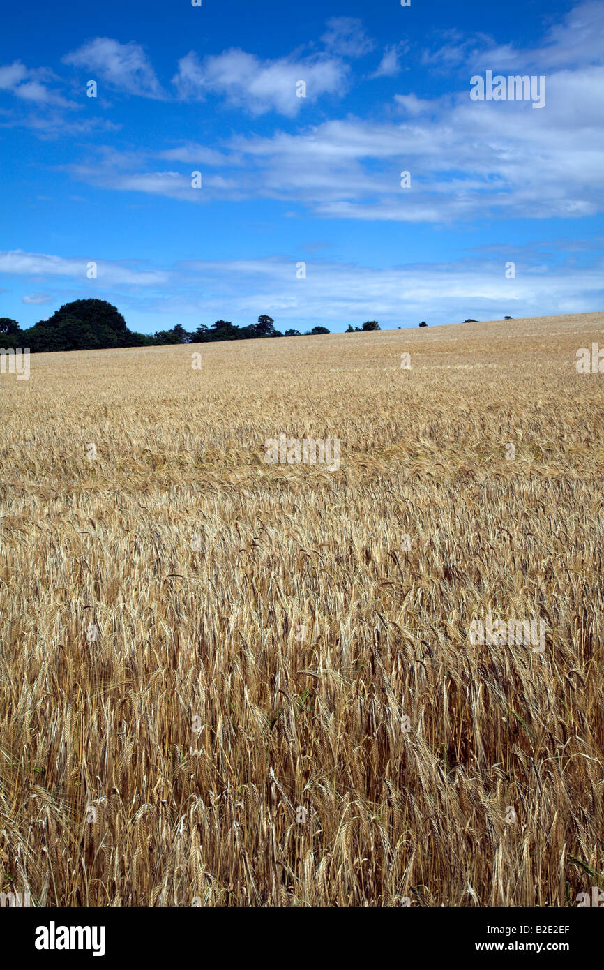 Sloping field hi-res stock photography and images - Alamy