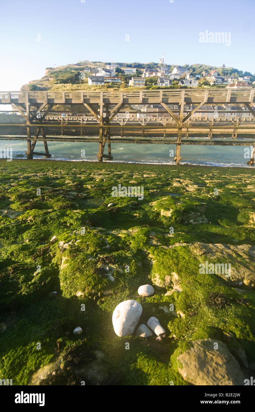 France normandy fecamp town hi-res stock photography and images - Alamy