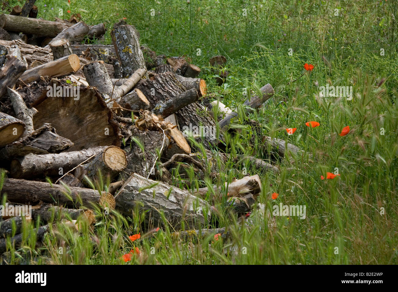 Log pile garden hi-res stock photography and images - Alamy