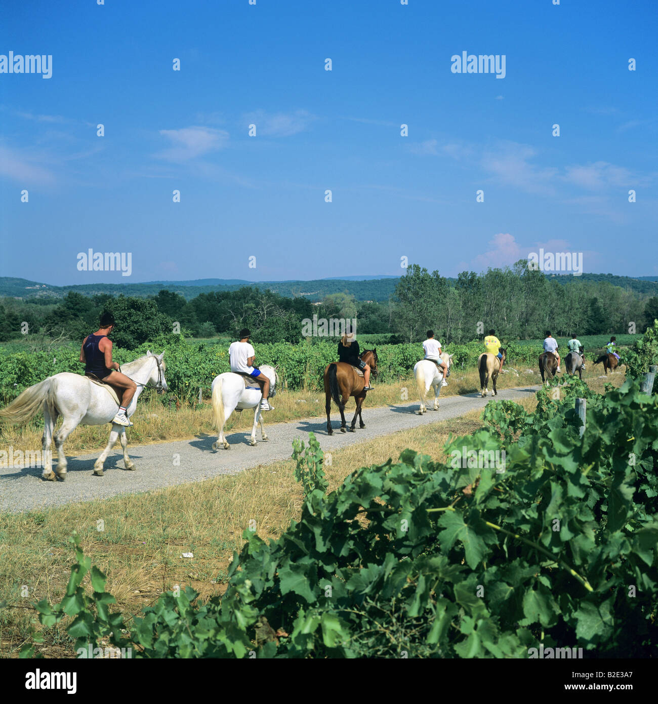 So many roads horse hi-res stock photography and images - Alamy
