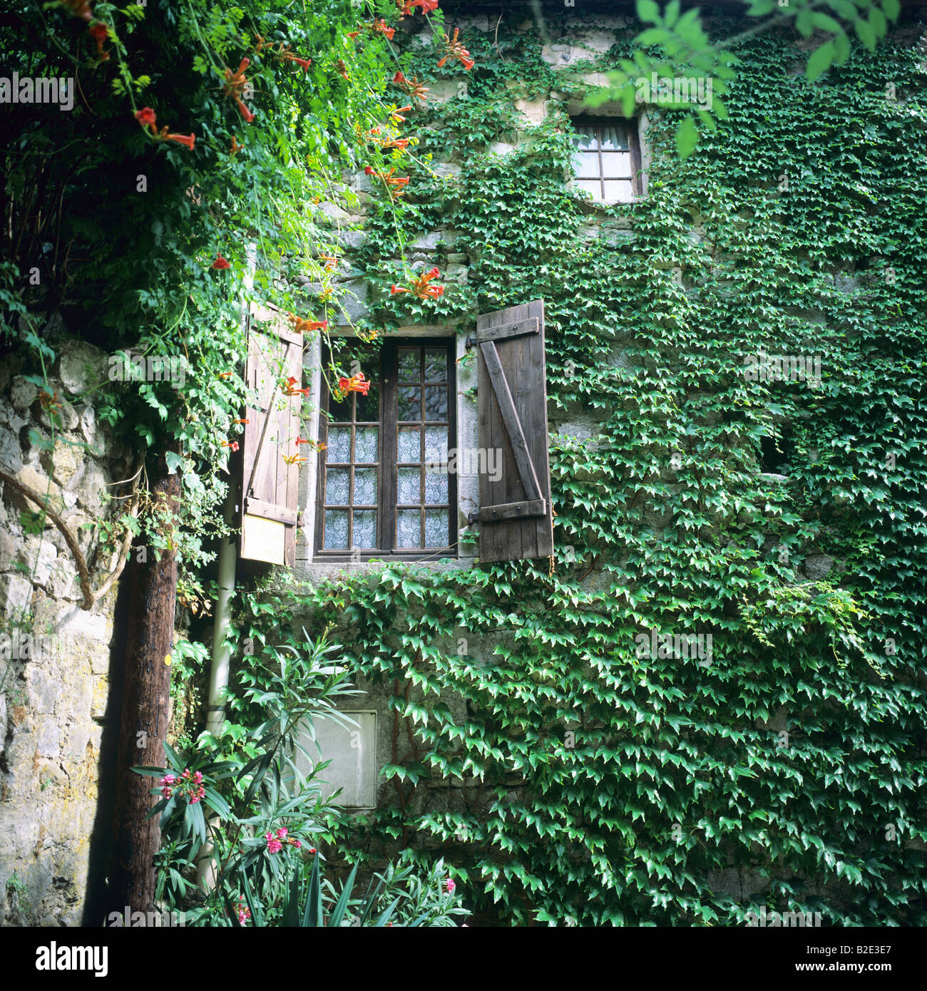 Ivy clad walls hi-res stock photography and images - Alamy