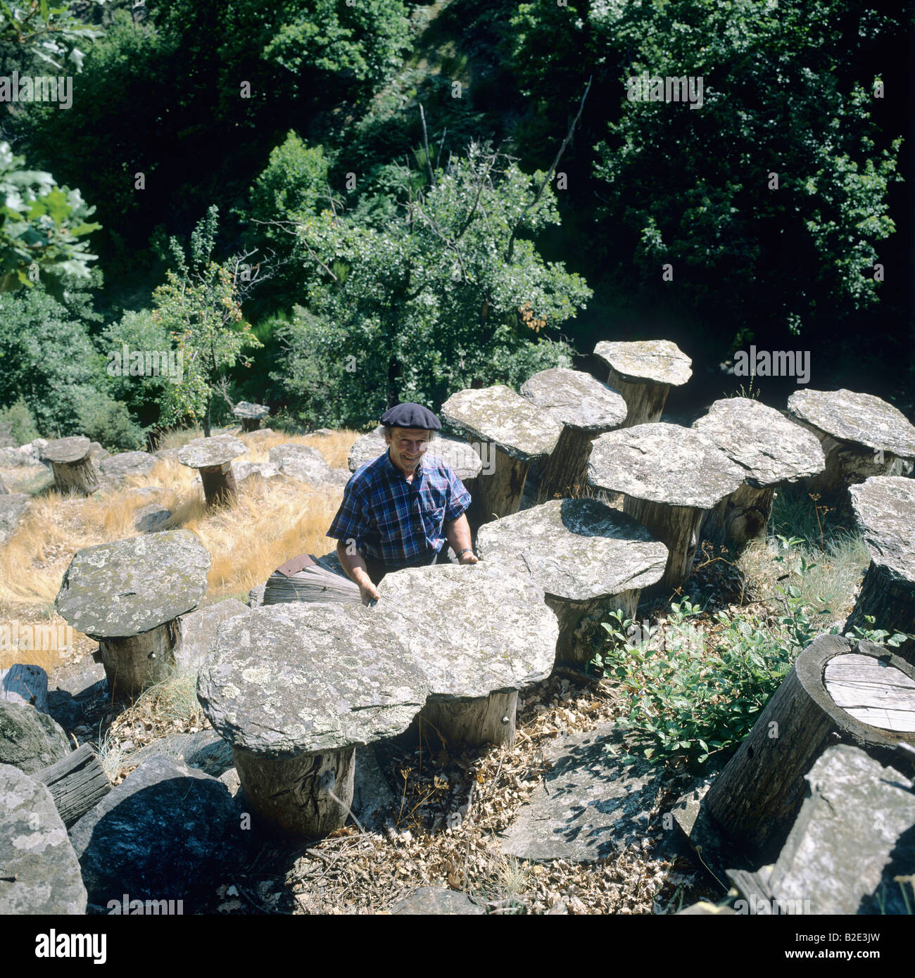 Beekeeper inspects beehives built with chestnut tree trunk and topped ...