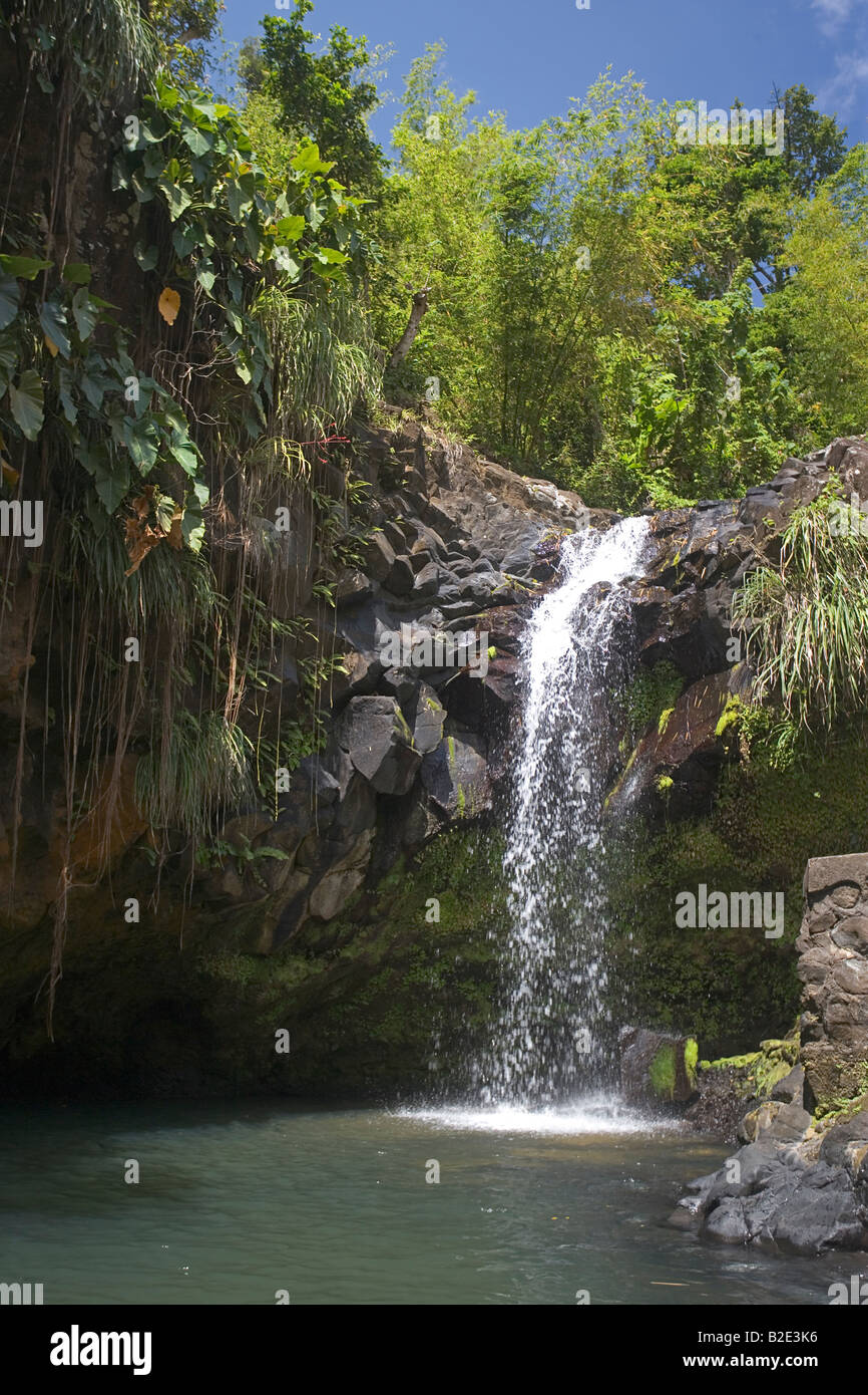 Annandale Falls Grenada West Indies Stock Photo - Alamy