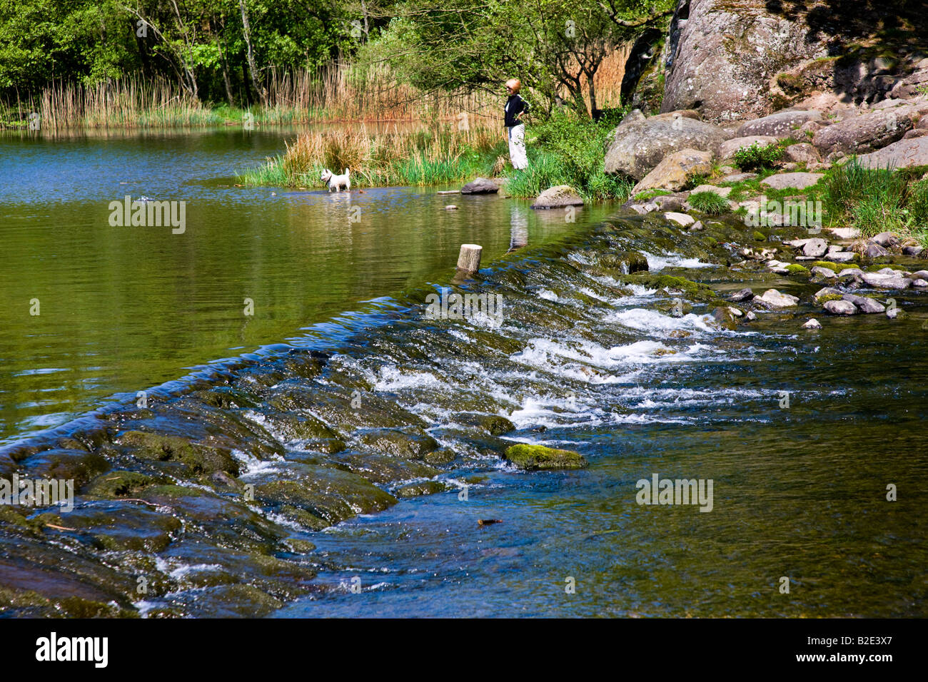 Lake Grasmere Early Spring In May The Weir On The South Shore, 'The ...