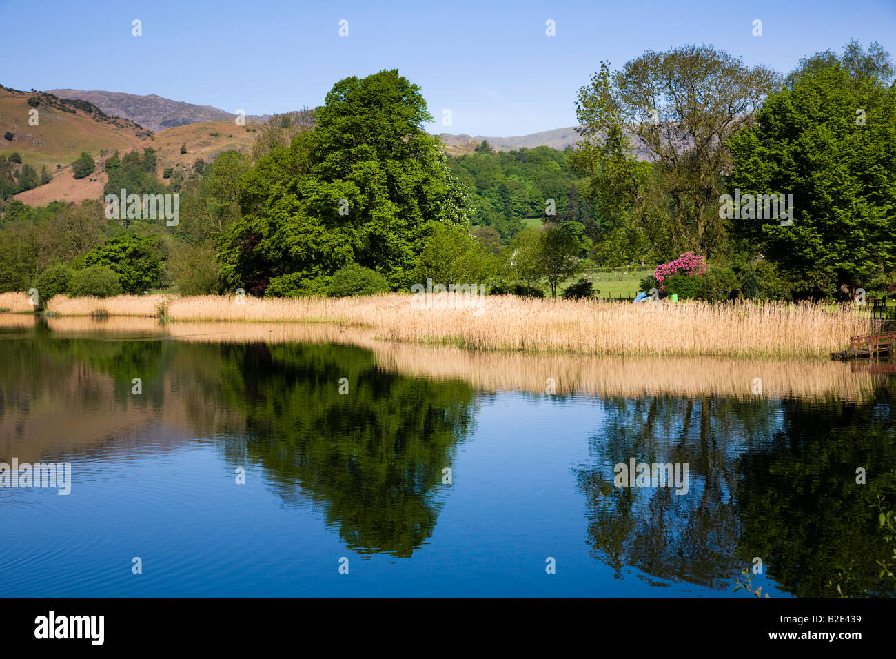 Lake Grasmere Early Spring Colours Around The Lakes Shoreline, 'The ...