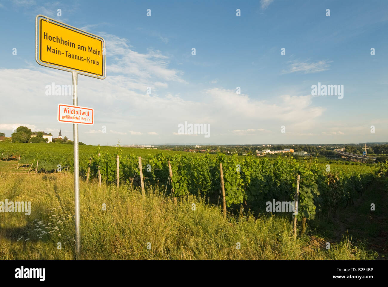 Vine sign hi-res stock photography and images - Alamy