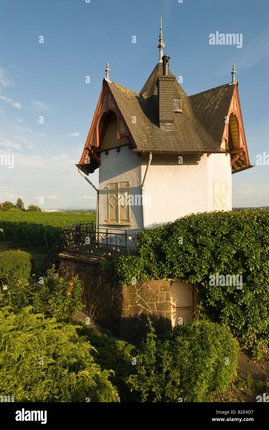 Rheingau wine region hi-res stock photography and images - Alamy