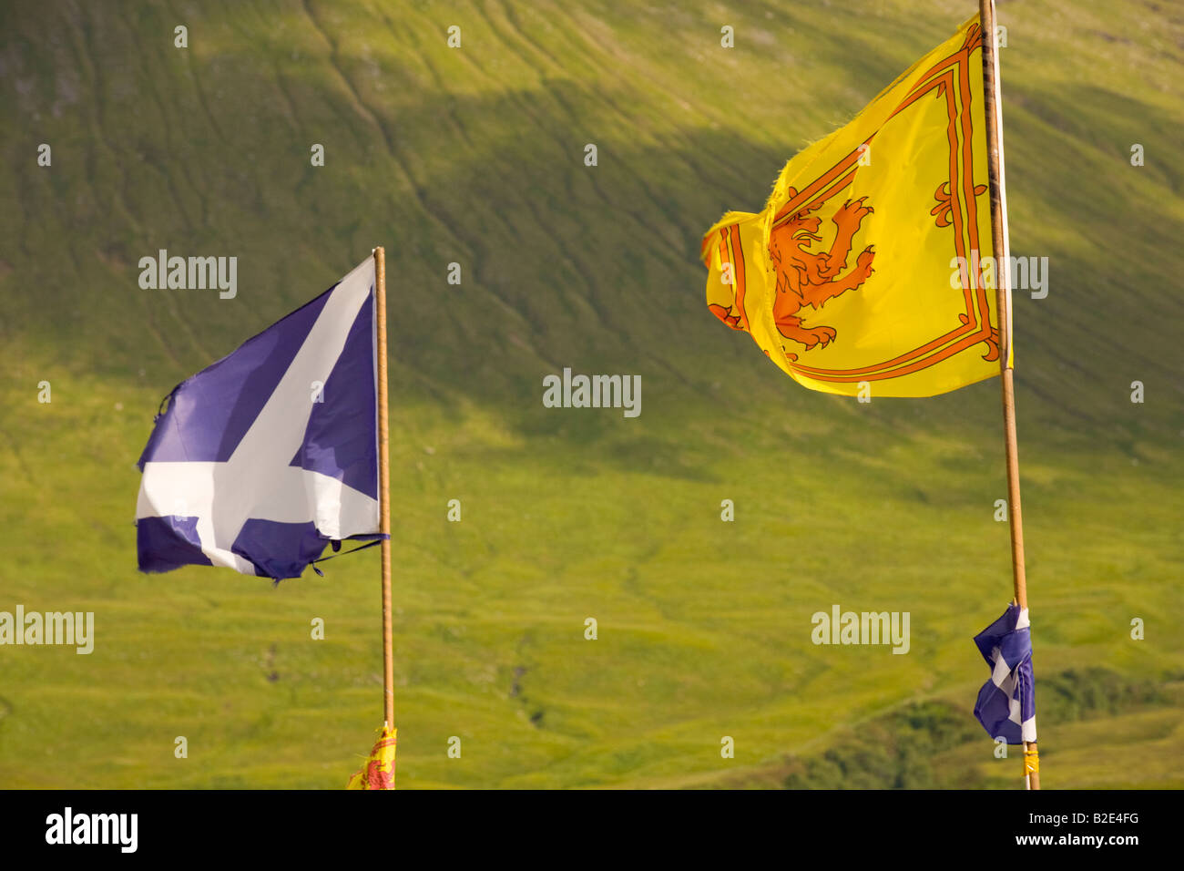 Scottish flags hi-res stock photography and images - Alamy