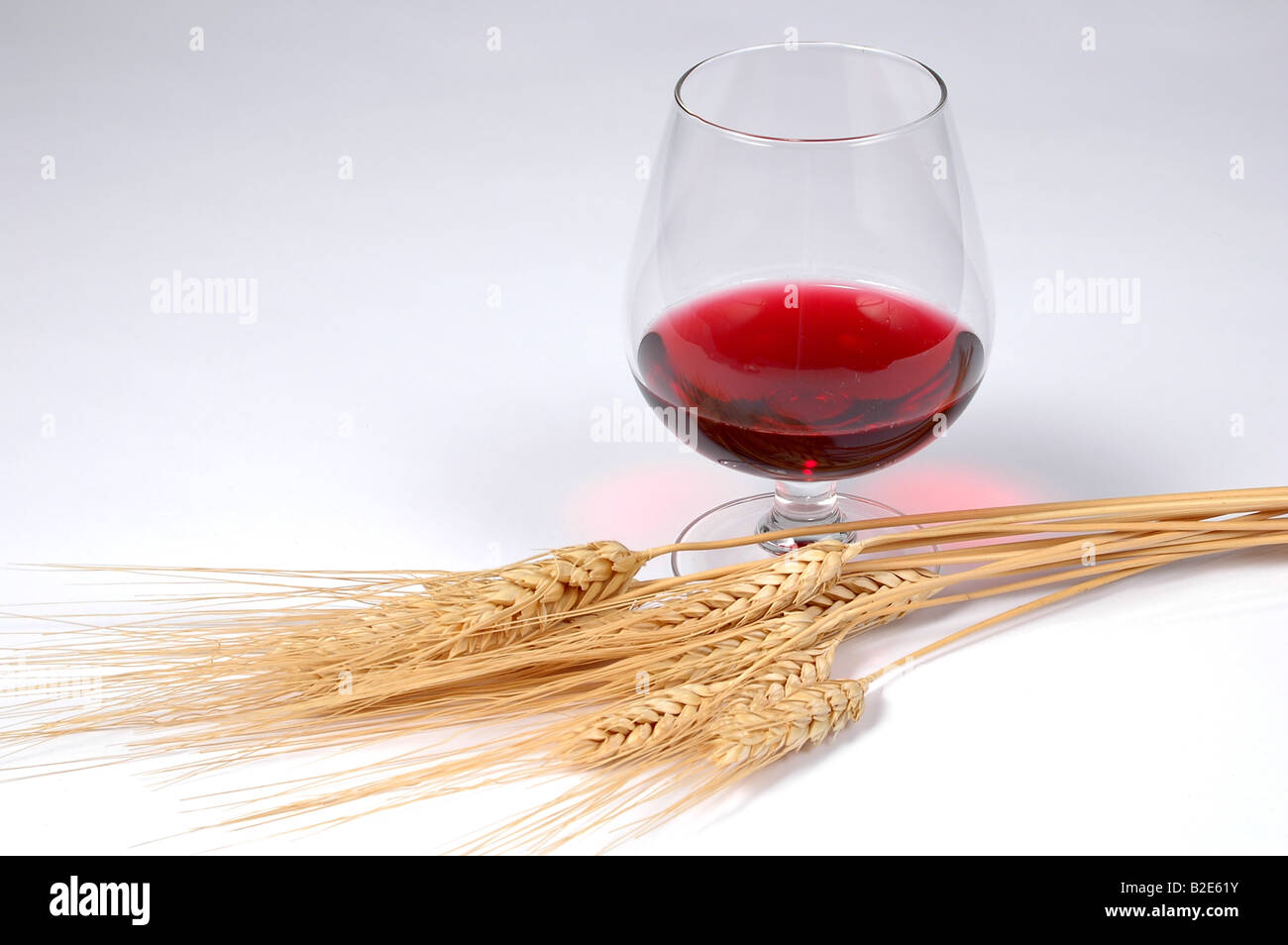 Red wheat hi-res stock photography and images - Alamy