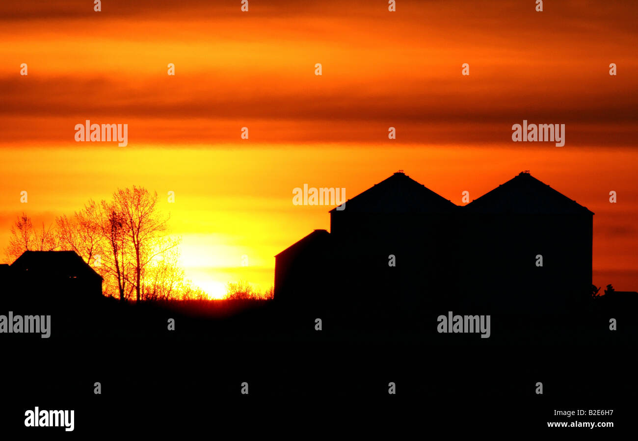 Setting sun backlighting farm buildings Stock Photo - Alamy