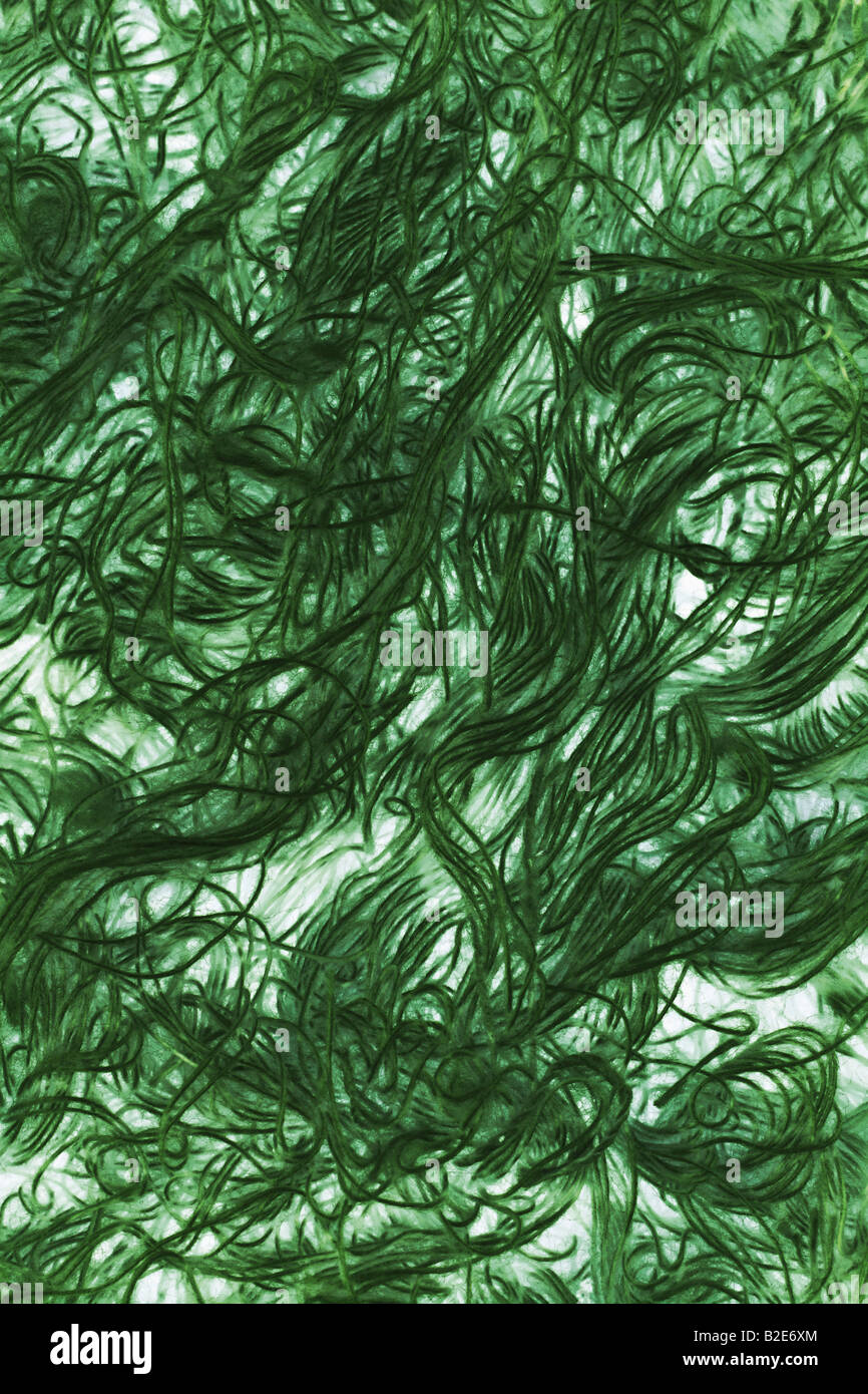 Cotton strands hi-res stock photography and images - Alamy