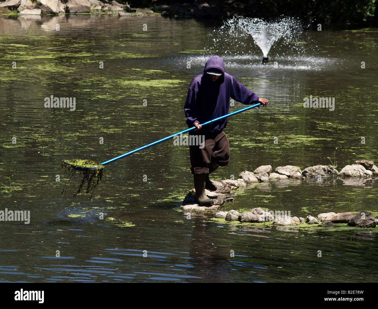 Landscape worker cleaning pond Stock Photo - Alamy