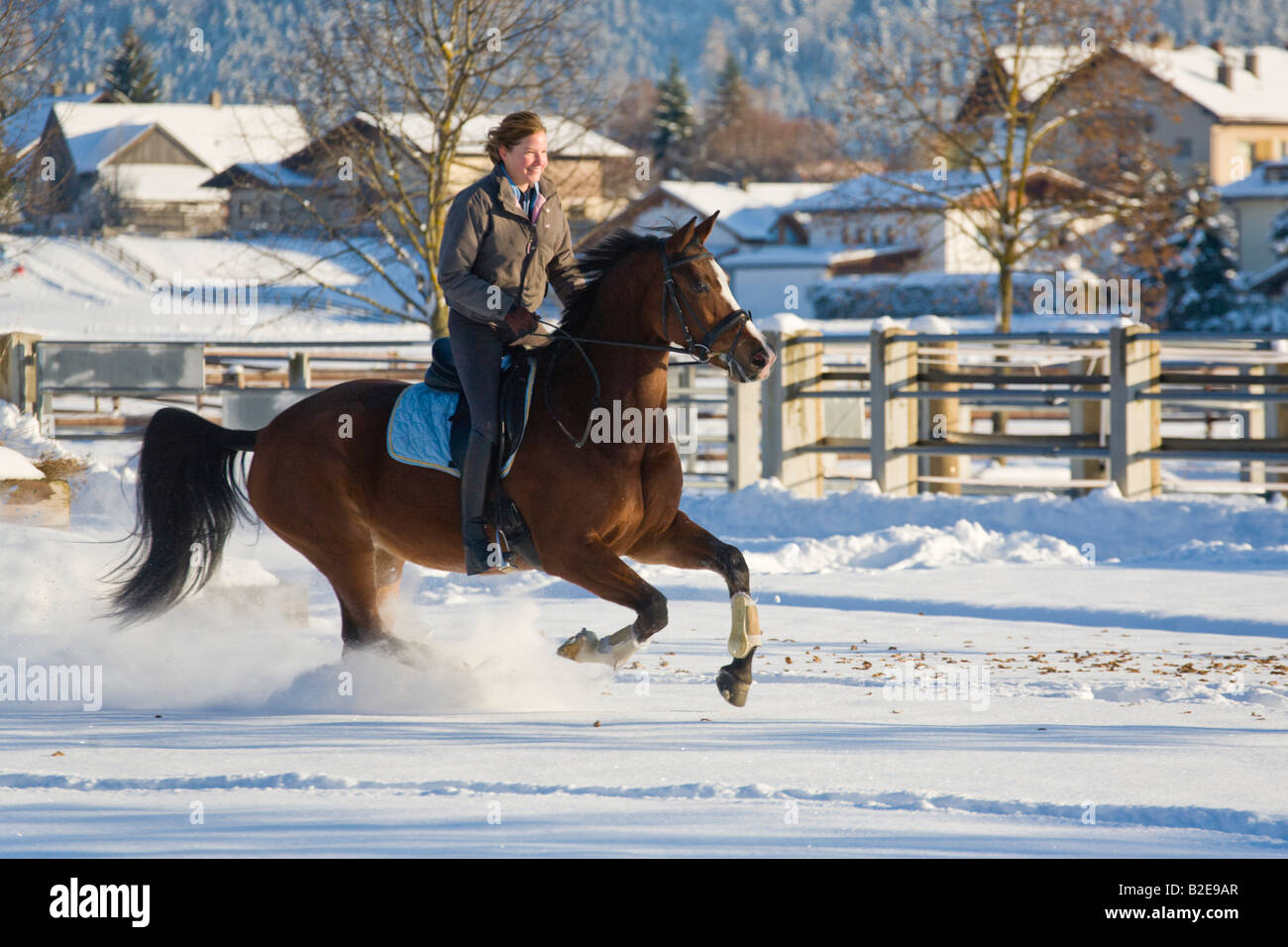 Horse riding rider winter snow gallop hi-res stock photography and ...
