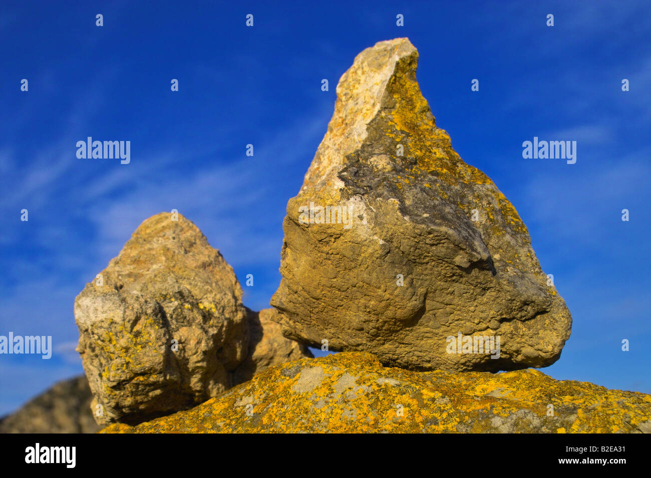 Close-up of rocks, Catalonia, Spain Stock Photo - Alamy