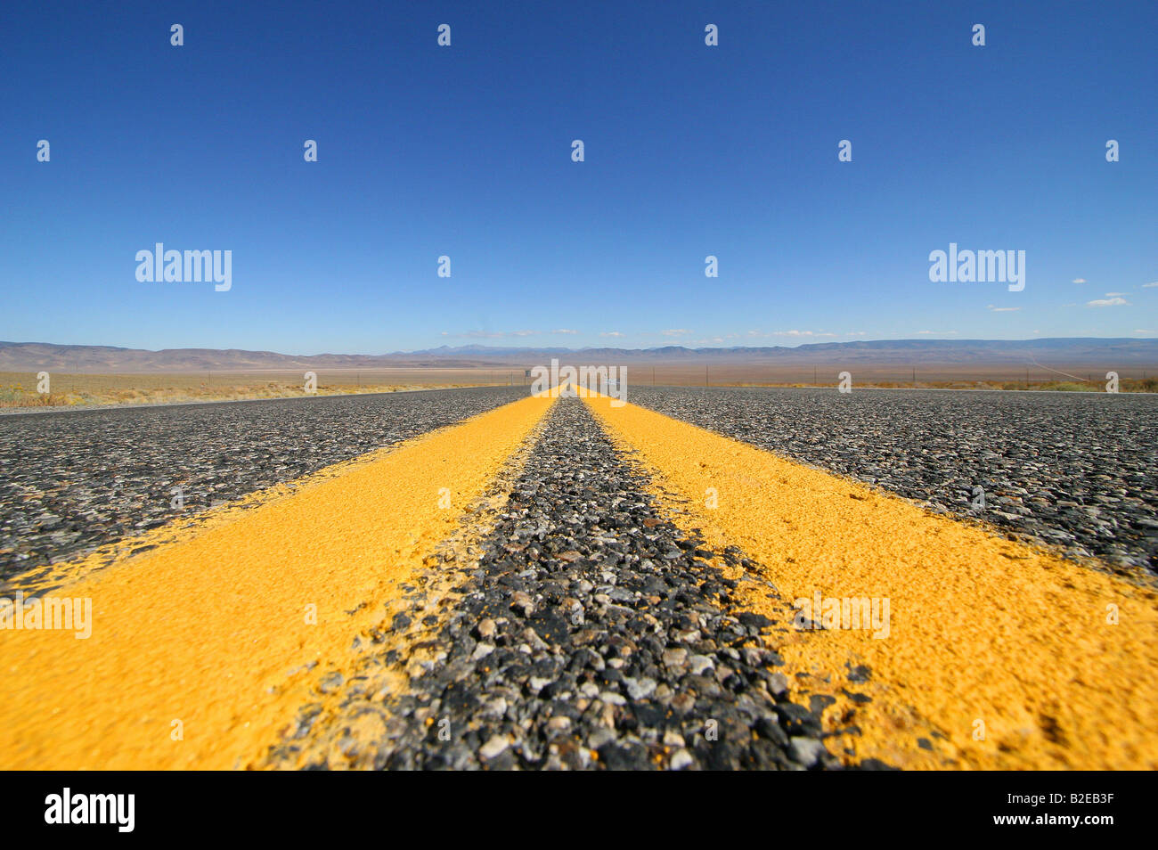 Medial surface hi-res stock photography and images - Alamy